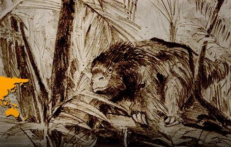 Image - Destination Truth Mapinguari.png - Cryptids and Myths Wiki