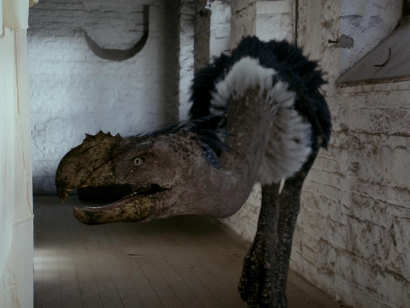 Terror Bird - Anomaly Research Centre