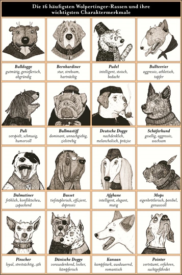 Wolpertinger – Zamonien Wiki – Walter Moers, Romane, Rumo, Käpt’n ...