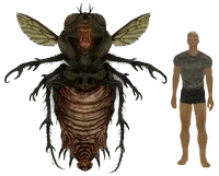 Bloatfly (Fallout: New Vegas) - The Fallout wiki - Fallout: New Vegas ...
