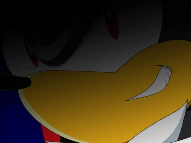 Shadow The Hedgehog Smiling Sonic X