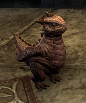 Bantam Guar Pet - The Elder Scrolls Wiki